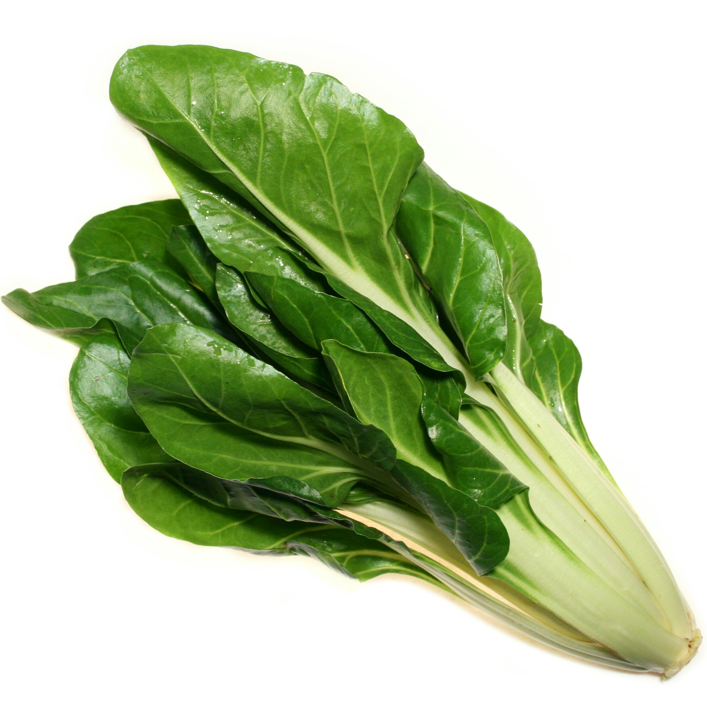 Pak choy 1 st